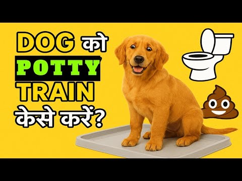 Dog susu potty training | Dog ki susu potty krne ki gandi aadat kaise ...