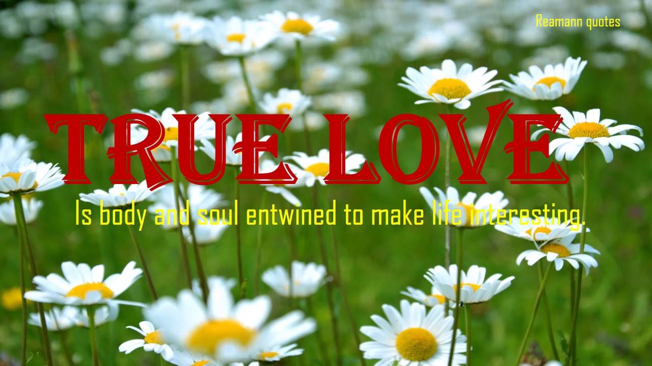 Love quotes #04 || quotes on love || inspirational love quotes ...