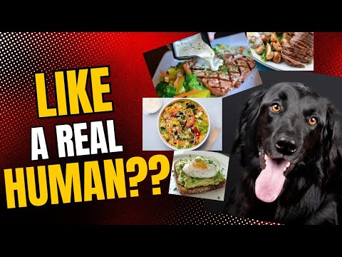 Dog Eats Homemade Human Food: Nutritious Meals for a Happy Pup! - YouTube