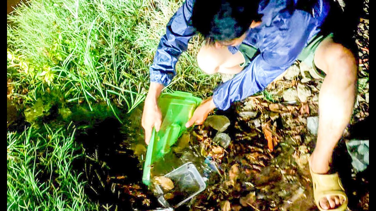 Removal Plastic And Rubbish Clogging Drains On Roads After Heavy Rains ...