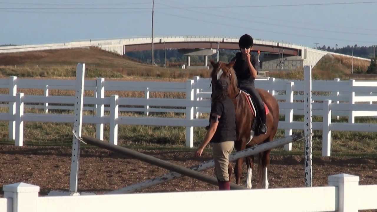 Leo Dog leg jumping (curved approach) jumping lesson - YouTube