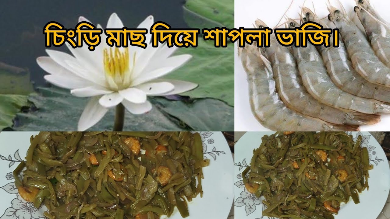 চিংড়ি মাছ দিয়ে মজাদার শাপলা ভাজি। Delicious shapla bhaji with prawns ...