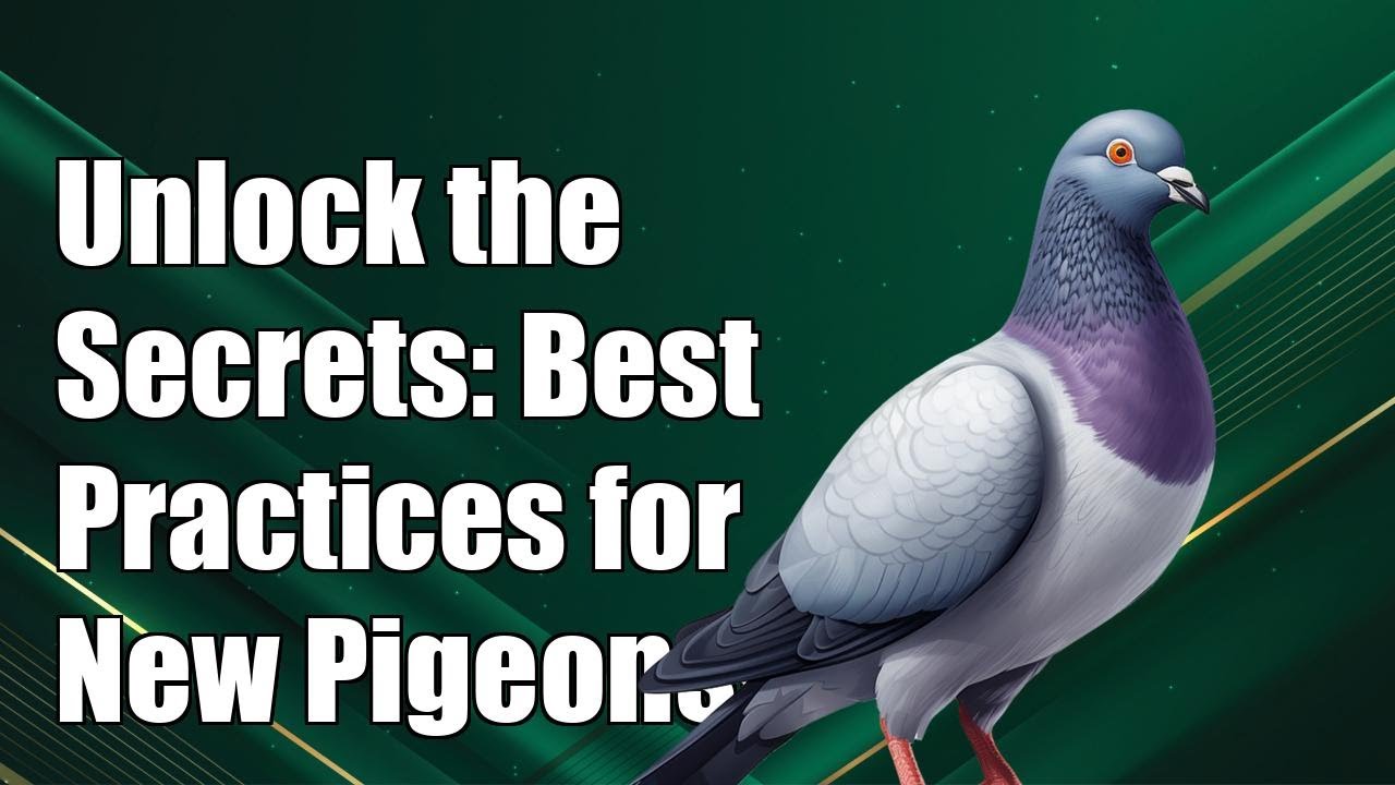 Unlock the Secrets: Best Practices for Introducing New Homing Pigeons ...