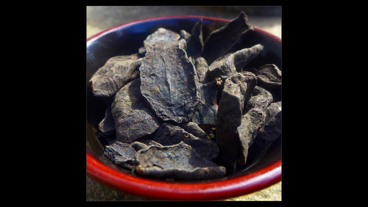 Health Benefits Of Ho Shou Wu / He Shou Wu / Fo Ti - YouTube