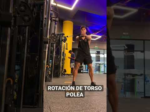 Rotación de torso polea - YouTube