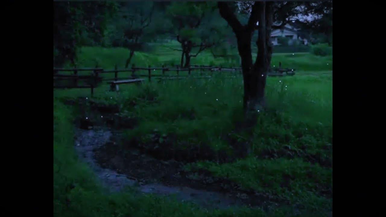 liza v posteli ~ poison tree | 𝓈𝓁𝑜𝓌𝑒𝒹 𝓉𝑜 𝓅𝑒𝓇𝒻𝑒𝒸𝓉𝒾𝑜𝓃 - YouTube