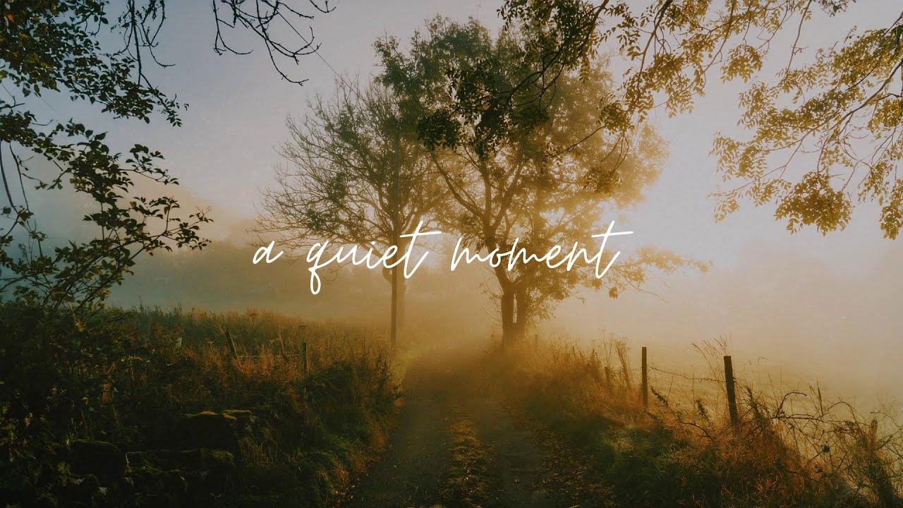 a peaceful playlist for a quiet spring day - YouTube