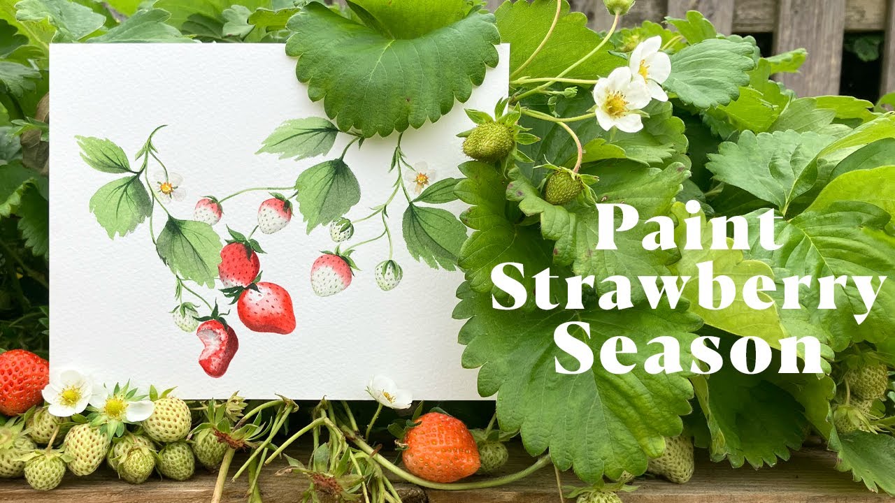 Paint Watercolour Strawberries! - YouTube