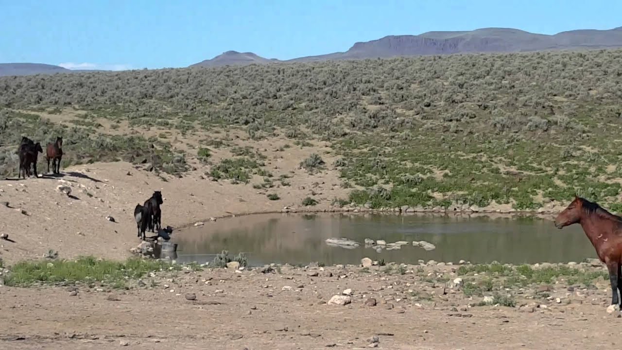 drive to Chimney Dam - YouTube