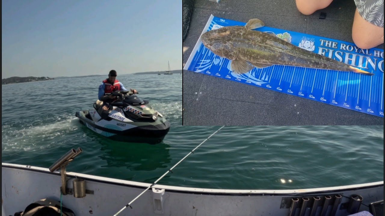 Big live baits one day burley & baits the next what works better? - YouTube