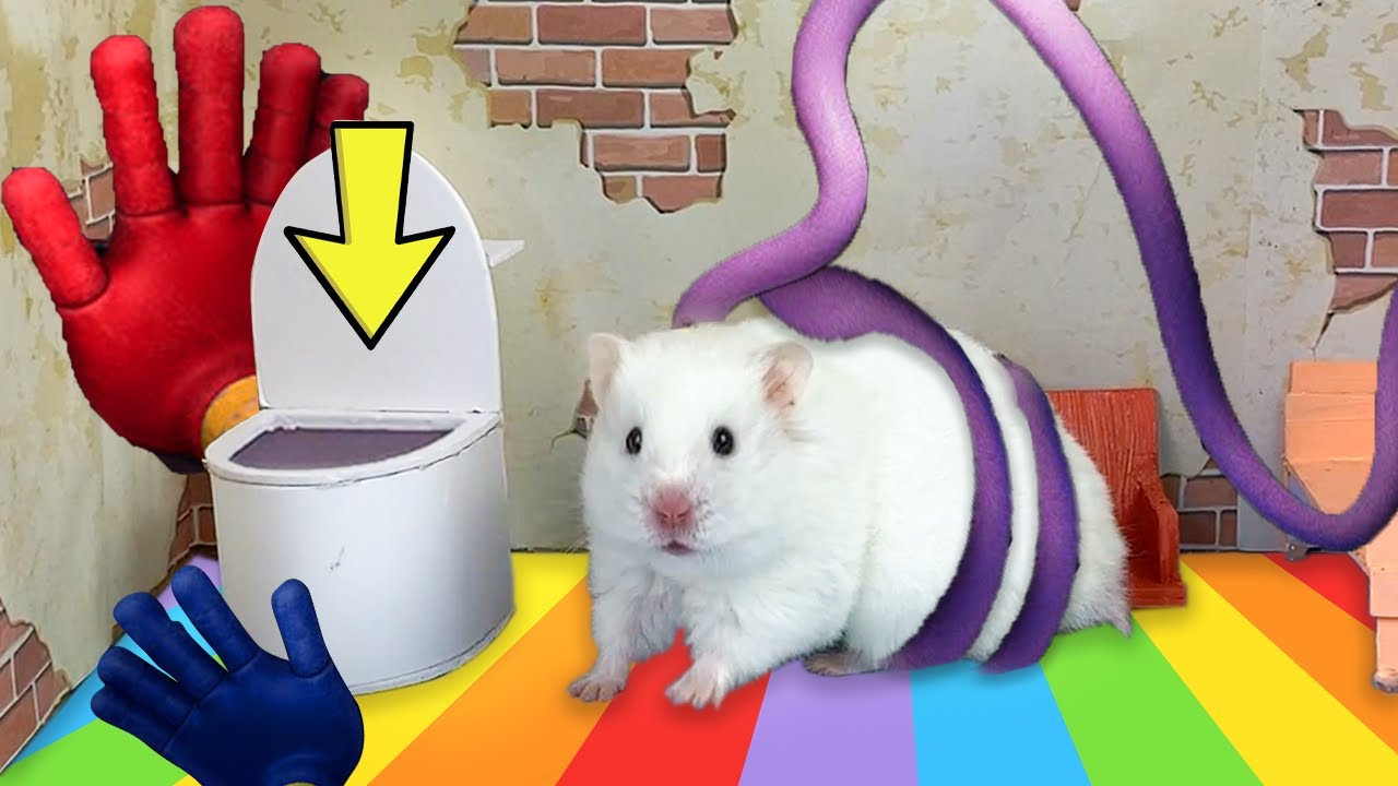Hamster Prison Trap - Hamster Escape The Awesome Maze - YouTube