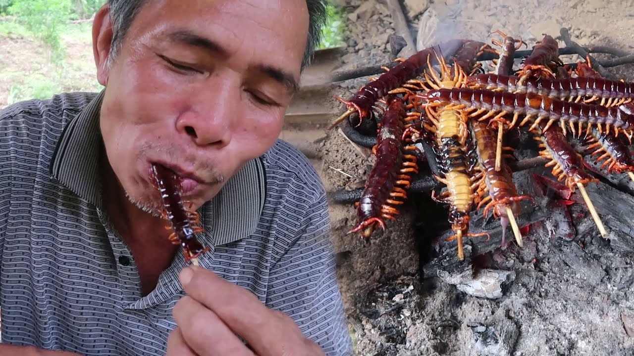 The Most Terrifying Thing I’ve Ever Eaten – Giant Centipede! - YouTube
