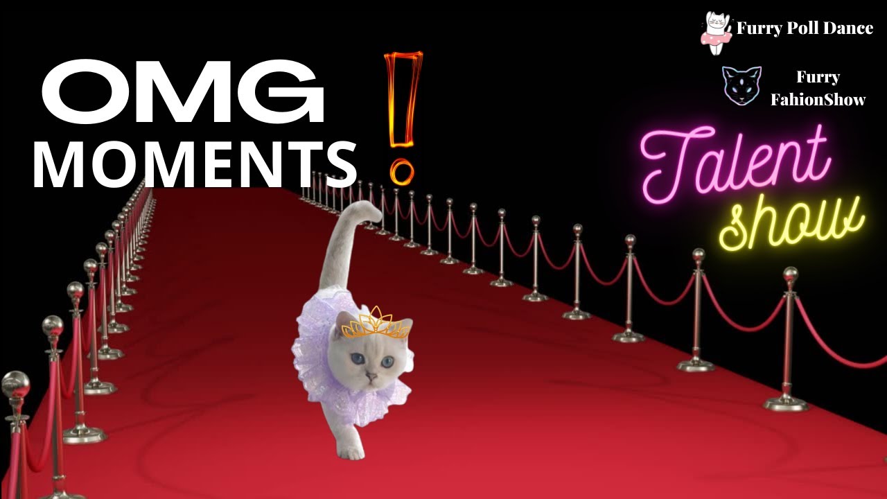 Cats talent show | Cute cats fashion show | Funny cats 2022 | BBCat ...