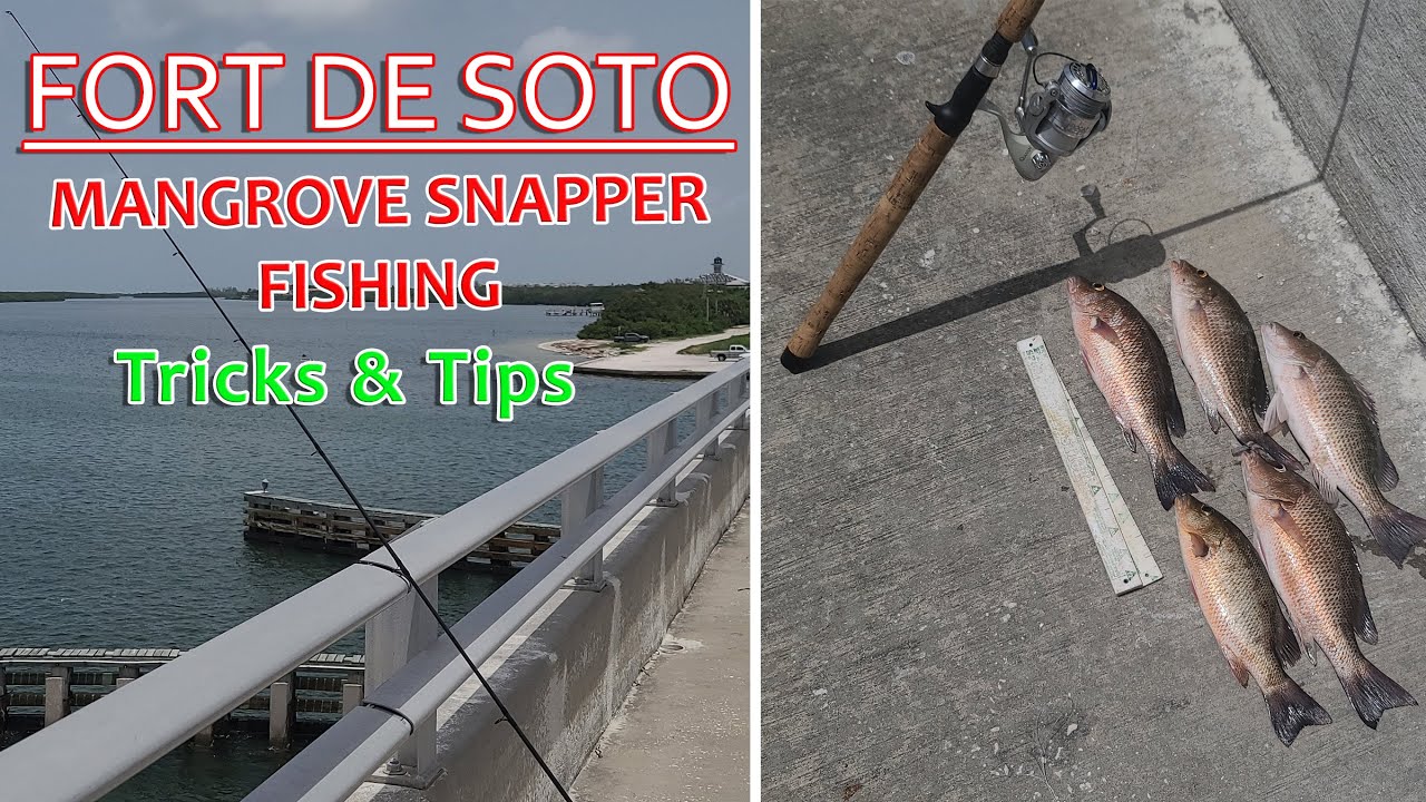 FORT DE SOTO Mangrove Snapper Fishing | Pre-Hurricane Debby | South ...
