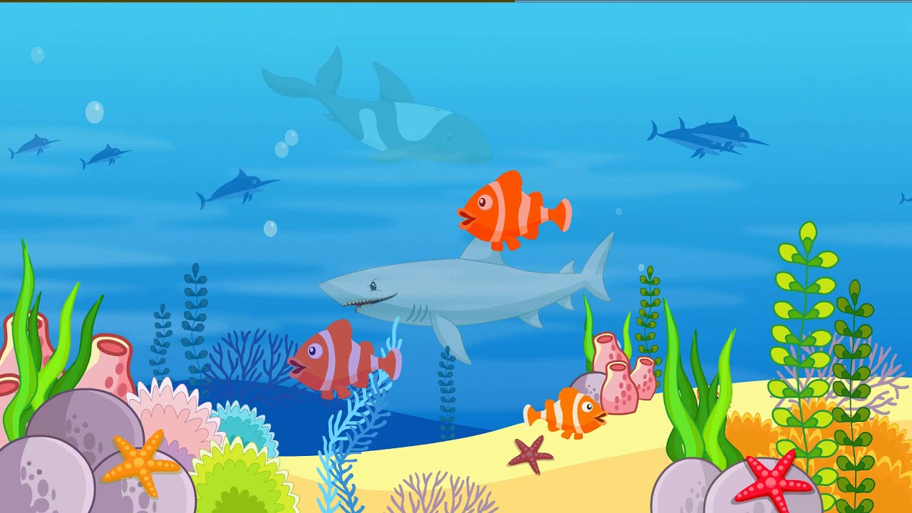 KaMy - Cartoon - Sea Life - Fish Clown Shark Whale - Full HD - Free to ...
