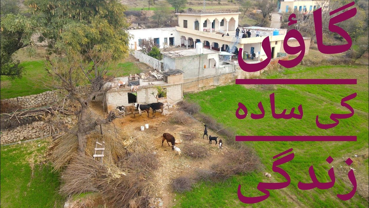 Desi simple village life in azad kashmir || Maalot shareef chakswari ...