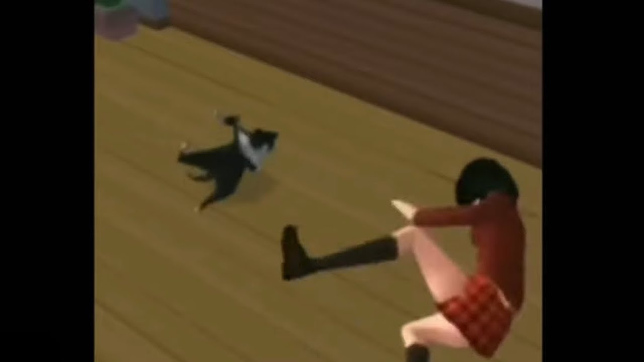 Cat breakdancing but girl breakdances too except the roles are reversed… - YouTube