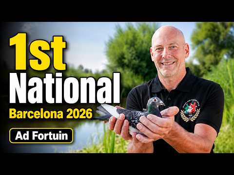 Ad Fortuin Wins 1st National Barcelona 2026 | Bas Flies 1,144 KM