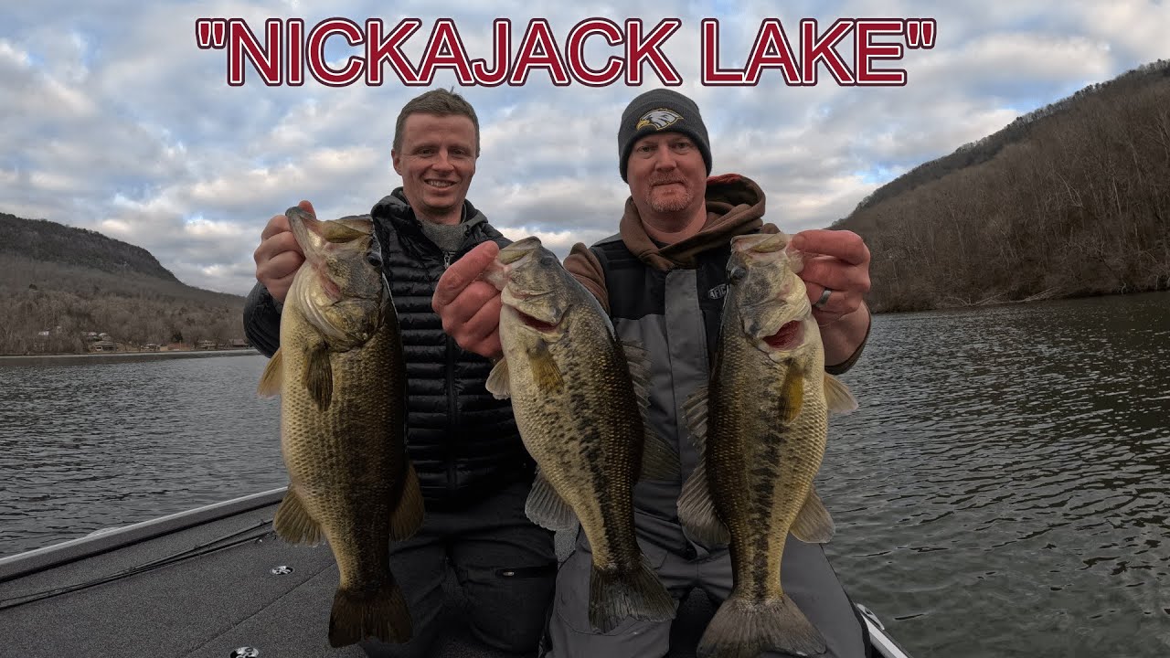 Nickajack lake Bass Fishing 2/1/2025 - YouTube