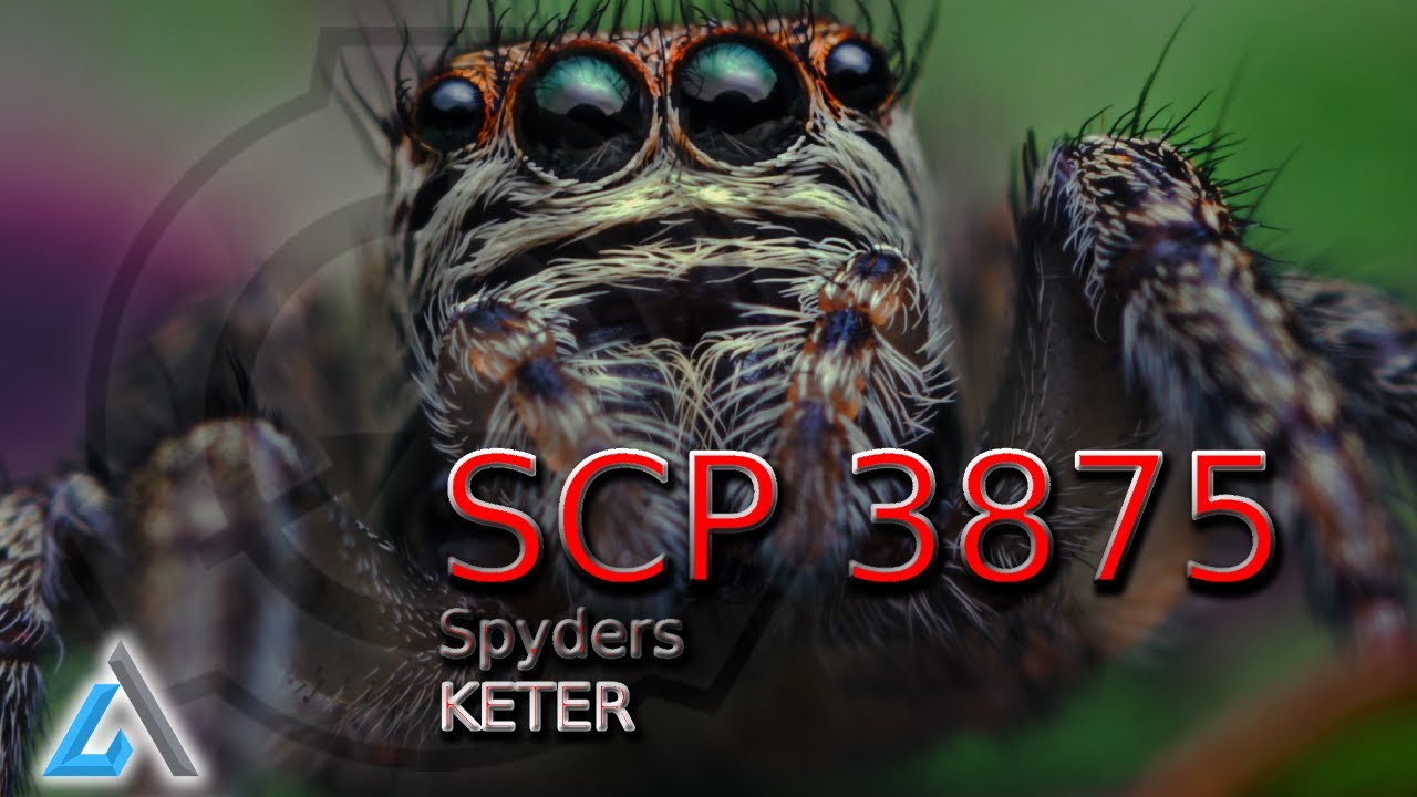 SCP 3875 - Spyders - KETER - YouTube