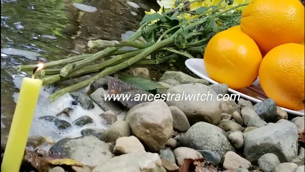 Offerings In Nature And Animals - YouTube