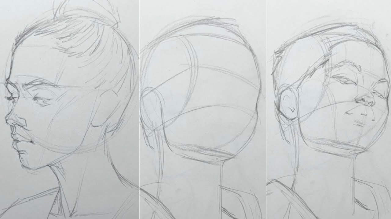 Practicing basic proportions and Structure of the head using the loomis ...