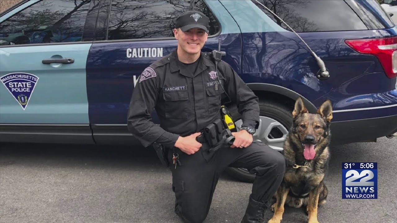 Massachusetts State Police made arrest with help from police dogs - YouTube