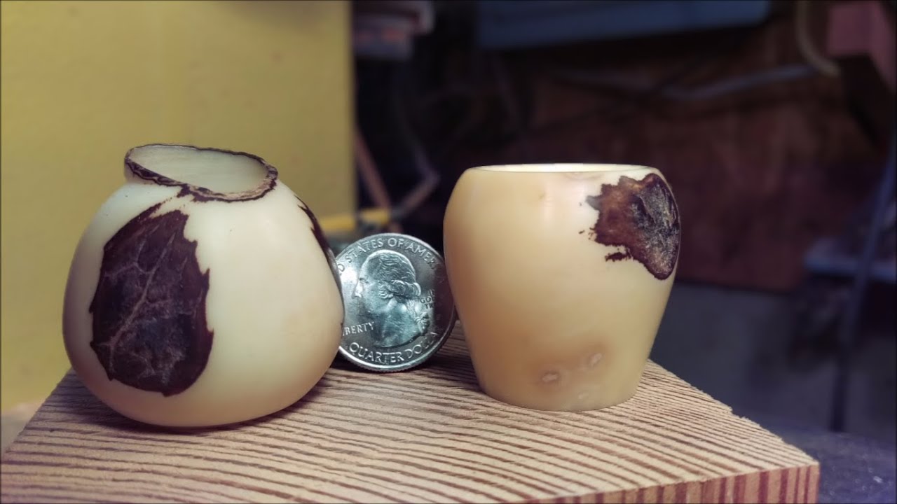 Wood Turning - Tagua Nuts *Vegetable Ivory* - YouTube