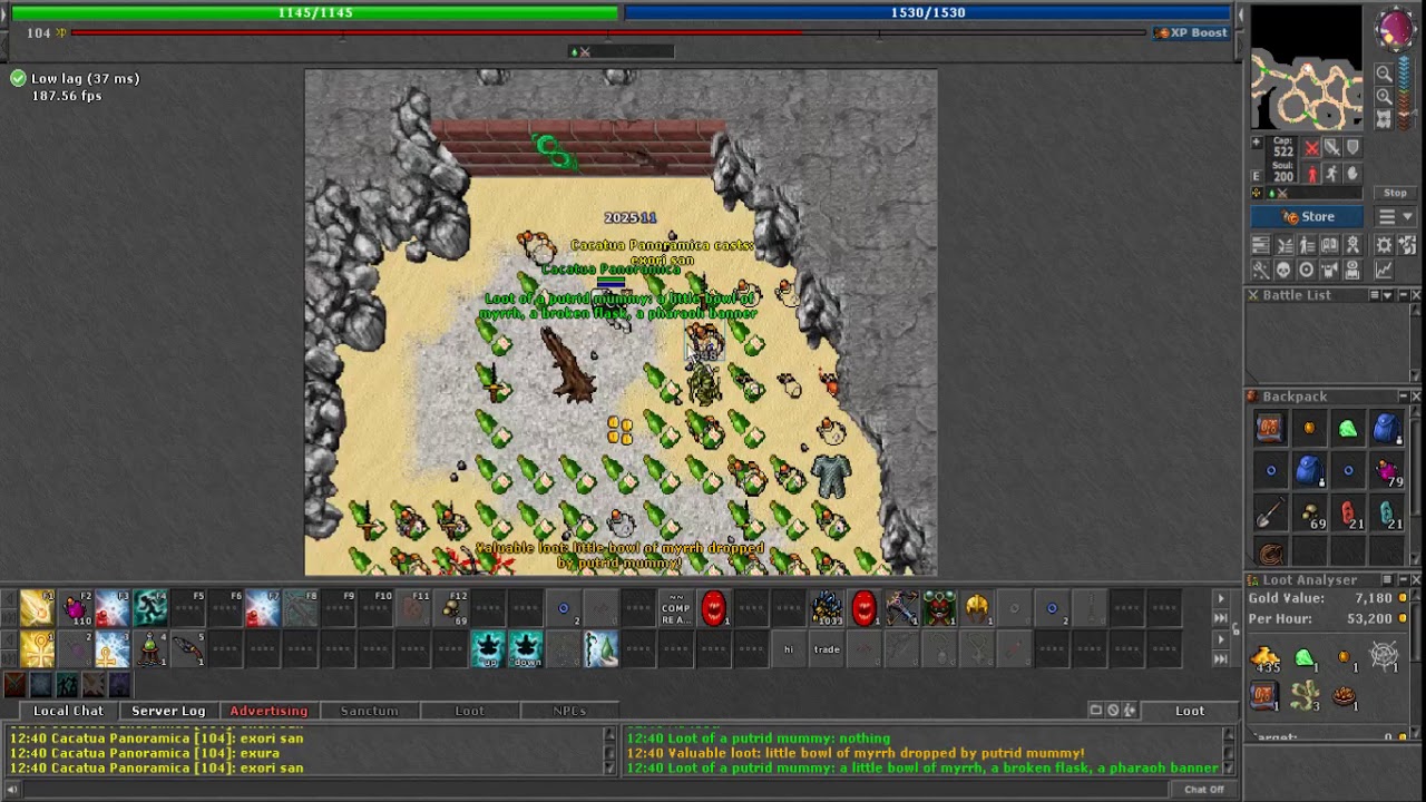 Tibia - Hunt Profit Paladin 45+ Putried Mummy - YouTube