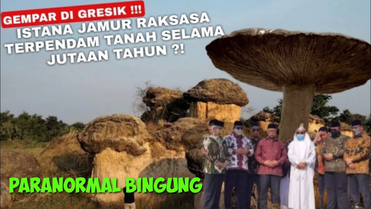 Yang Lagi Viral Di Gresik !! Munculnya Jamur Raksasa Bikin Kagum - YouTube
