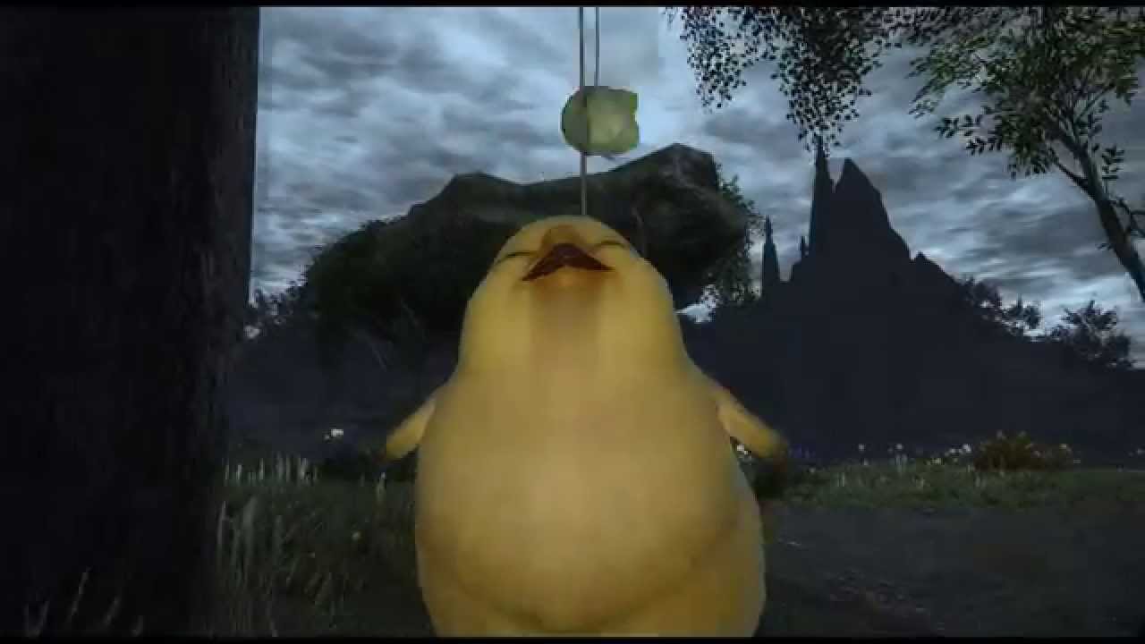 Fat Chocobo Moves Like Jagger! FFXIV ARR - YouTube