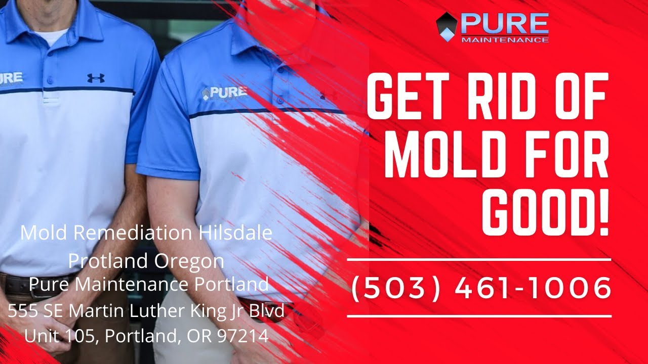 Mold Remediation Hilsdale Portland Oregon - Pure Maintenance Portland ...