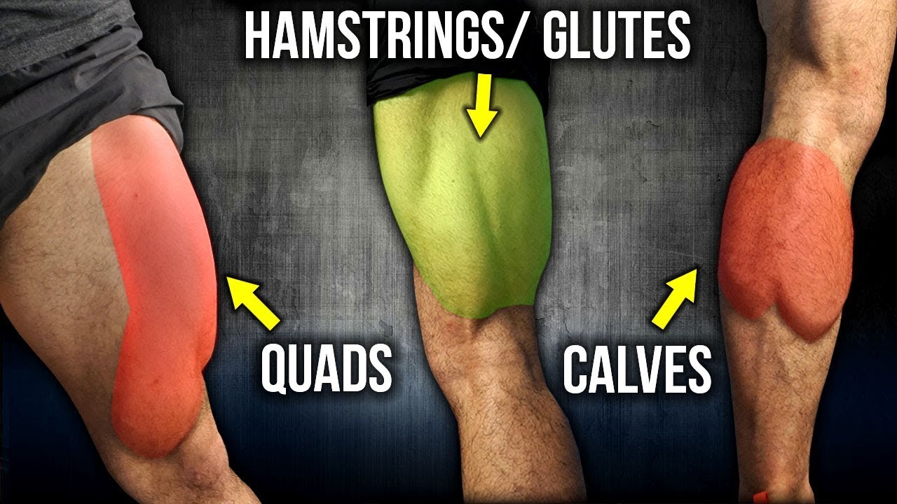 7min Home LEG Workout (DUMBBELL ONLY LEG ATTACK!!) - YouTube