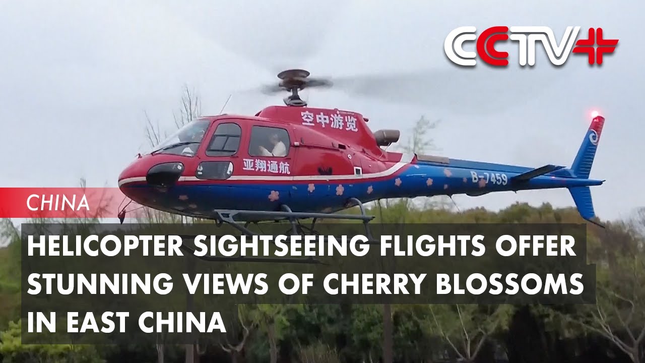 Helicopter Sightseeing Flights Offer Stunning Views of Cherry Blossoms ...