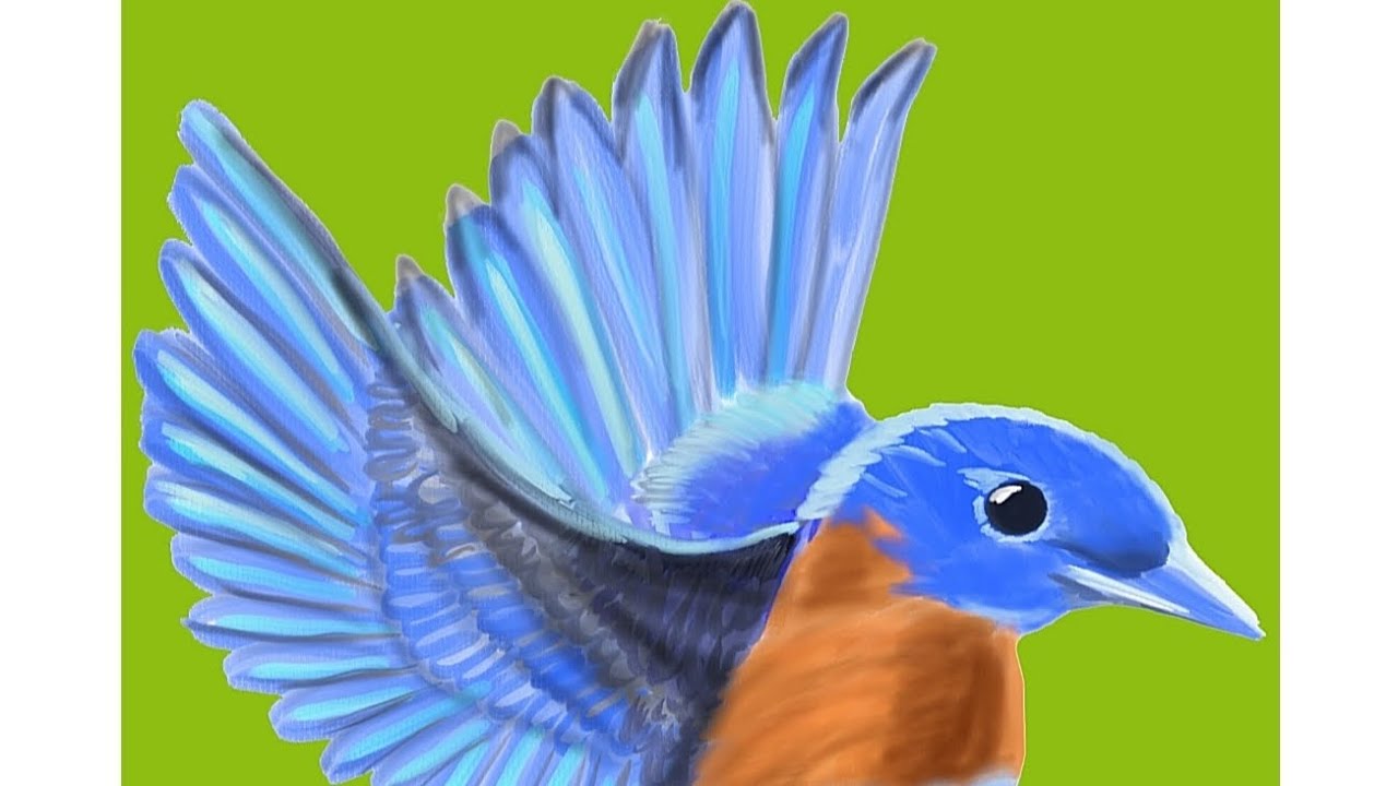 LET'S CREATE BIRD@cr8r4us - YouTube