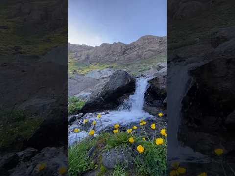Ay Dilbere - Kürtçe Şarkı Fon Müzik 💐🏔️ #kurdish #kürtçe #nature