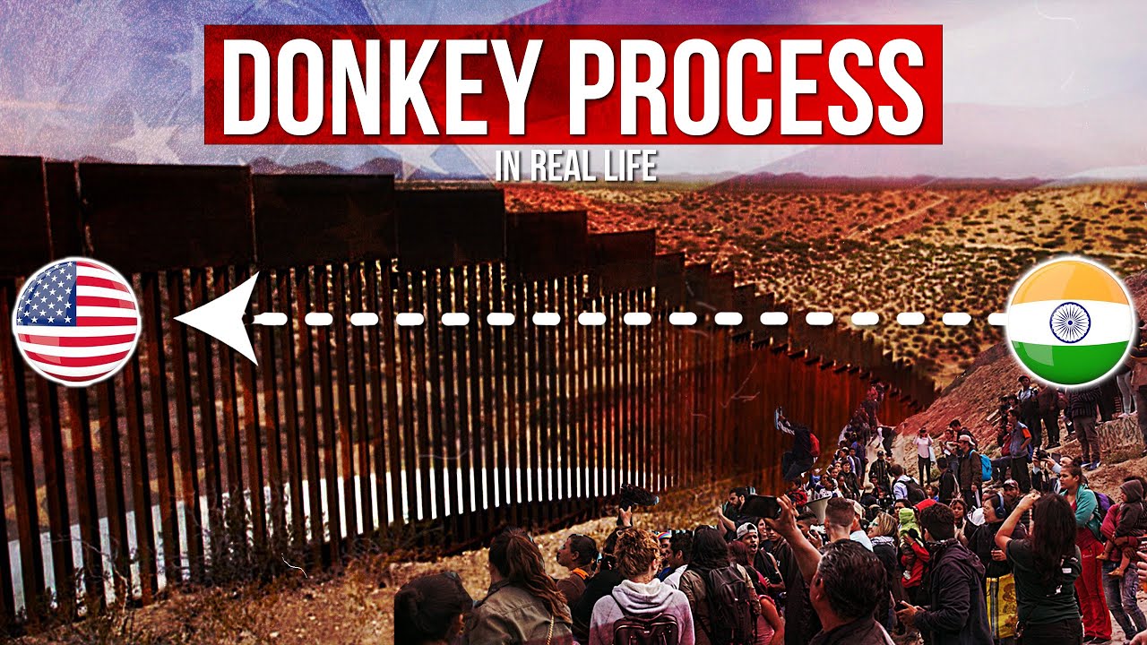 Why INDIANS go to USA Illegally? | Donkey Process | Dunki | World's ...