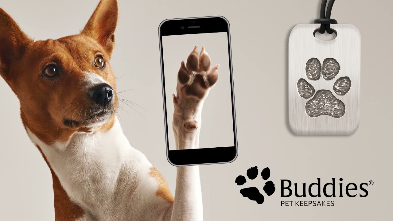 Digital Paw Prints Home | Pawprint Family