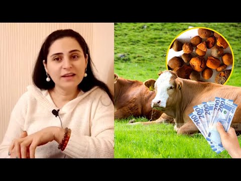 QIZIL QİYMƏTİNƏ SATILAN ÖD DAŞLARI NƏYƏ FAYDALIDIR