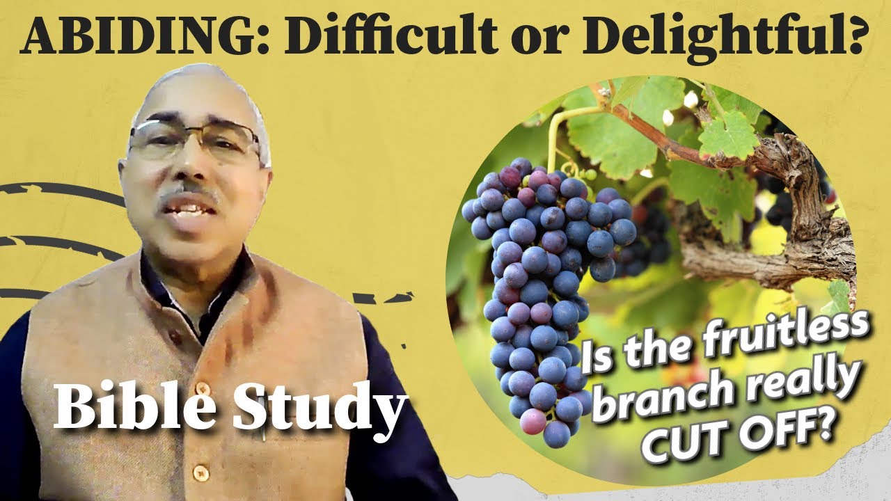 ABIDING: Is the fruitless branch in the vine really CUT OFF?? - YouTube