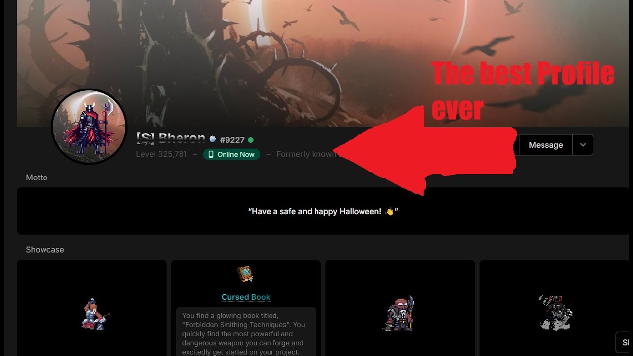The Best Profile ive seen!! (profile reviews) - YouTube