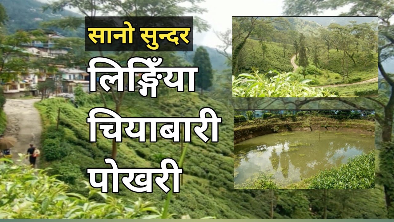 Pokhari (Pond) a Famous One | Lingia Tea Estate in Darjeeling Hills ...