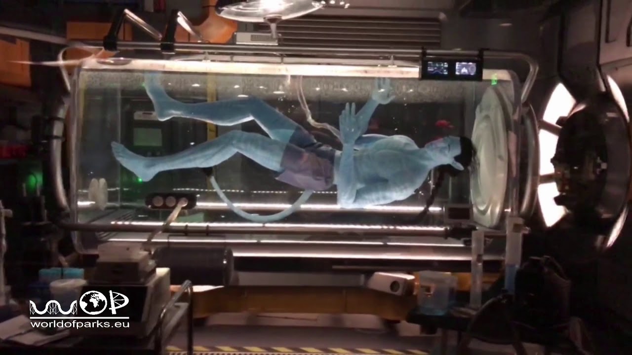 The World of Avatar at Walt Disney World - Pandora Avatar Land Boat ...