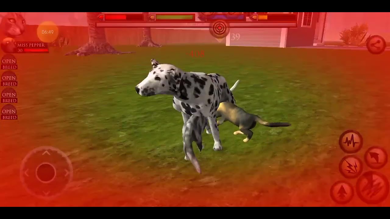 Ultimate Cat Simulator Full Gameplay - YouTube