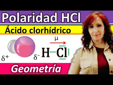 POLARIDAD DEL ÁCIDO CLORHÍDRICO 👉HCl 🔴Geometría molecular - YouTube