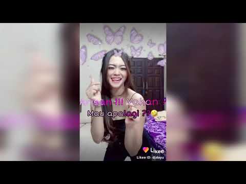 bodi semok janda kembang
