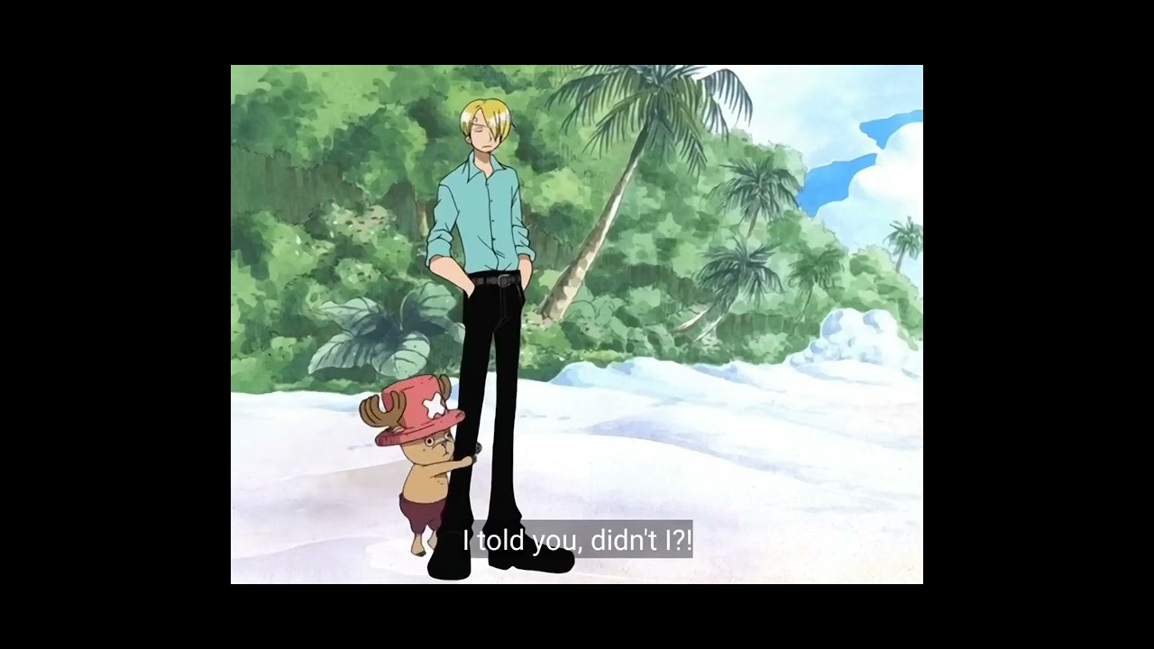 chopper hugs sanji's leg - YouTube