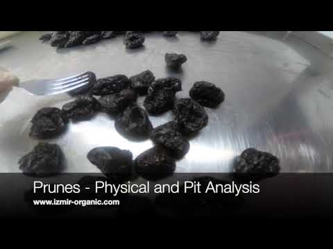 Prunes Physical & Pit Analysis - YouTube