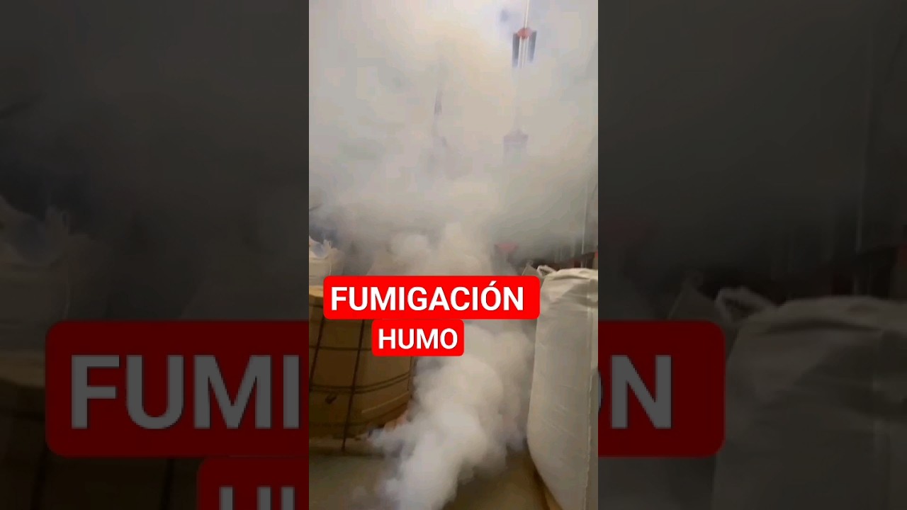 FUMIGACIÓN CON HUMO [ ARAÑA 🕷] [TERMONIEBLA] | #controldeplagas # ...