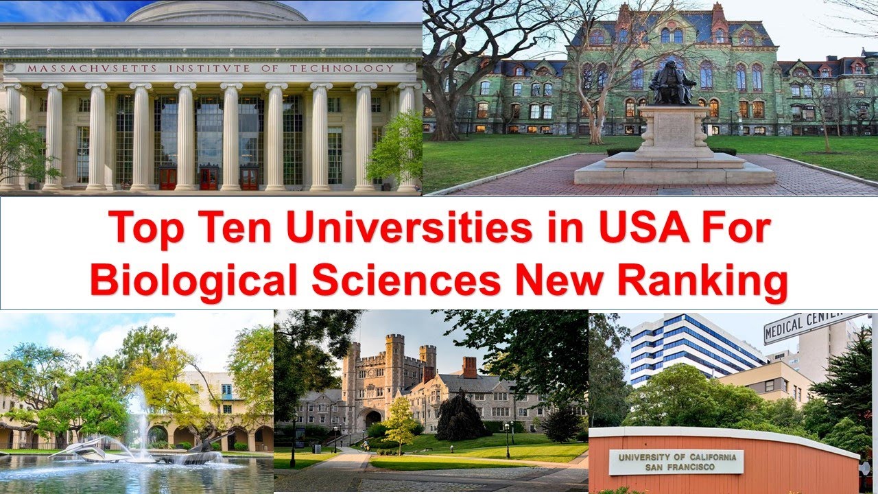 Top 10 Colleges Biology top-10-colleges-biology